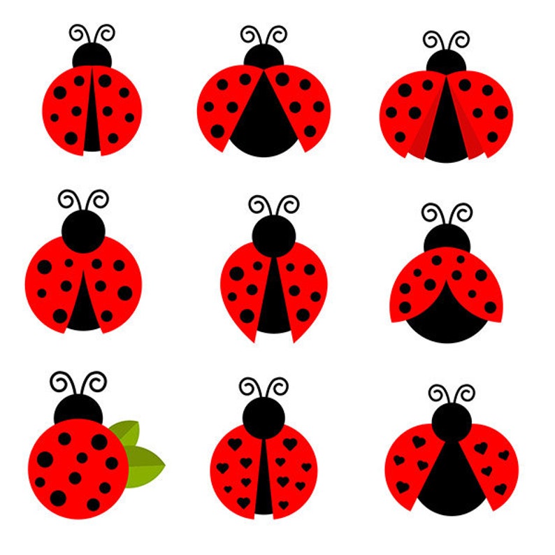 Ladybug SVG PNG Set. Ladybug Bundle SVG Files. Ladybug Clipart. Lady ...