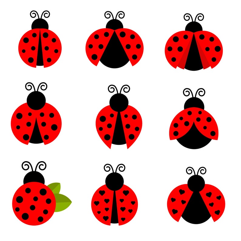 Ladybug SVG PNG Set. Ladybug Bundle SVG Files. Ladybug - Etsy