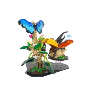 Display Stand for 21342 - the Insect Collection - Etsy