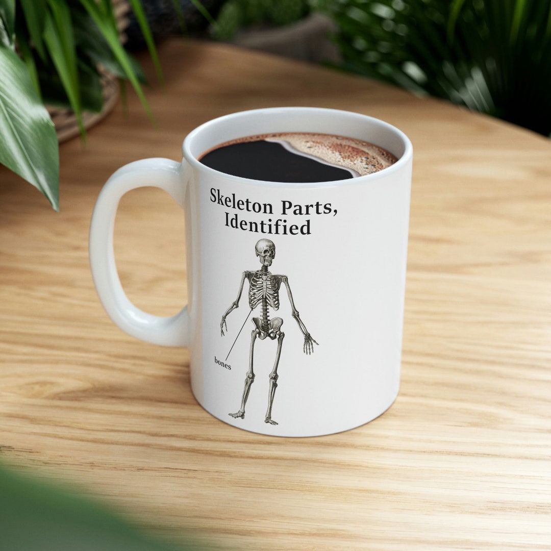 Skeleton Meme Mug, Skeleton Parts Identified Funny Mug - Etsy