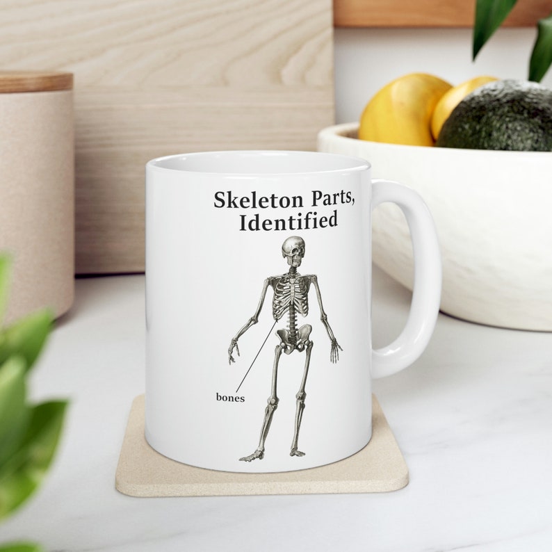 Skeleton Meme Mug Skeleton Parts Identified Funny Mug - Etsy