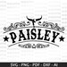 Paisley Svg Download File for Cricut, Laser Cut and Print, Commercial ...