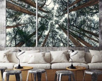 Large Forest Canvas Wall Art - Etsy