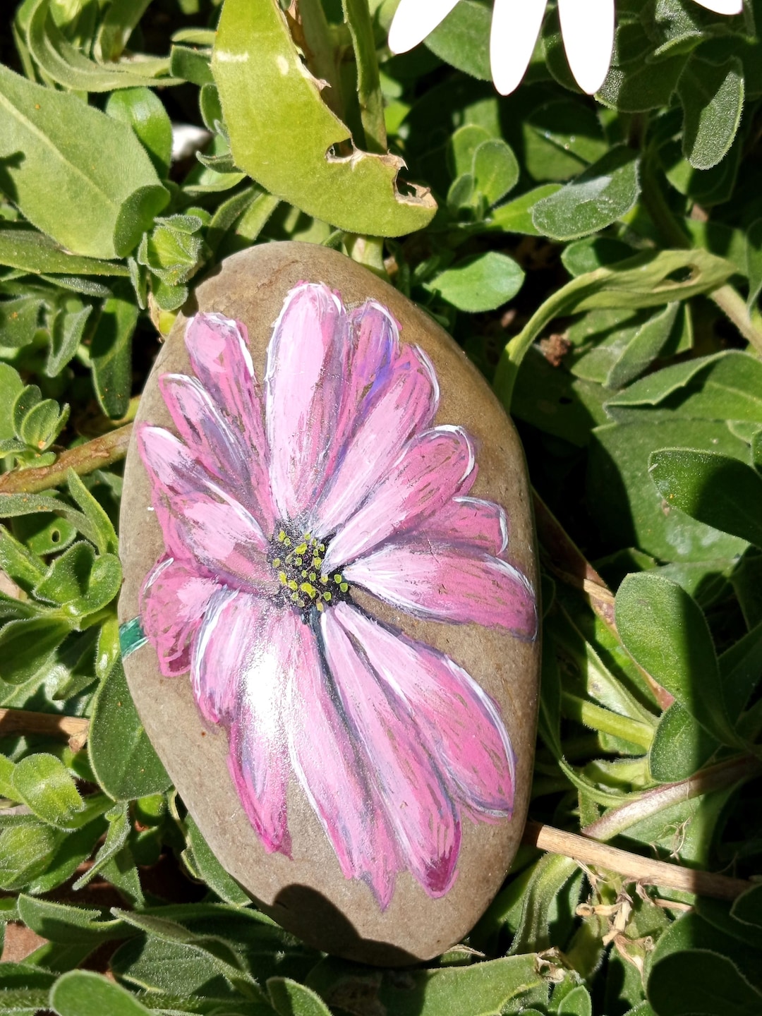 Hand-painted Pebble, Flower Pebble, Hand-painted Stone, Pebble Painting ...