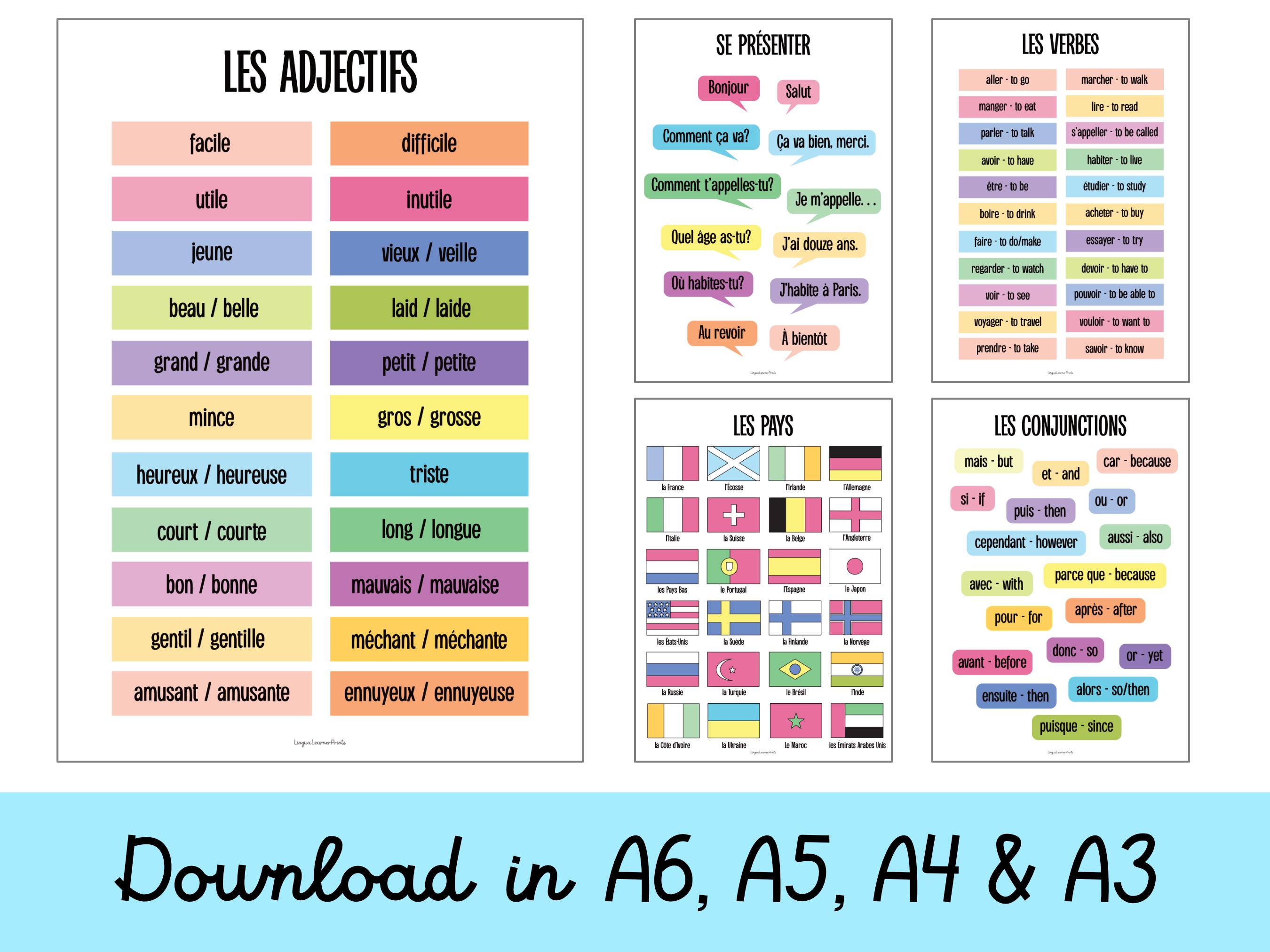 20 French Language Posters and Flashcards Printable. Learn French ...