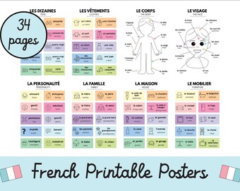 French Vocabulary Posters & Flashcards: Language Learning (digital ...