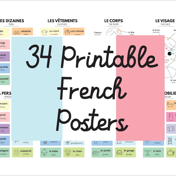 French Language Posters - Etsy