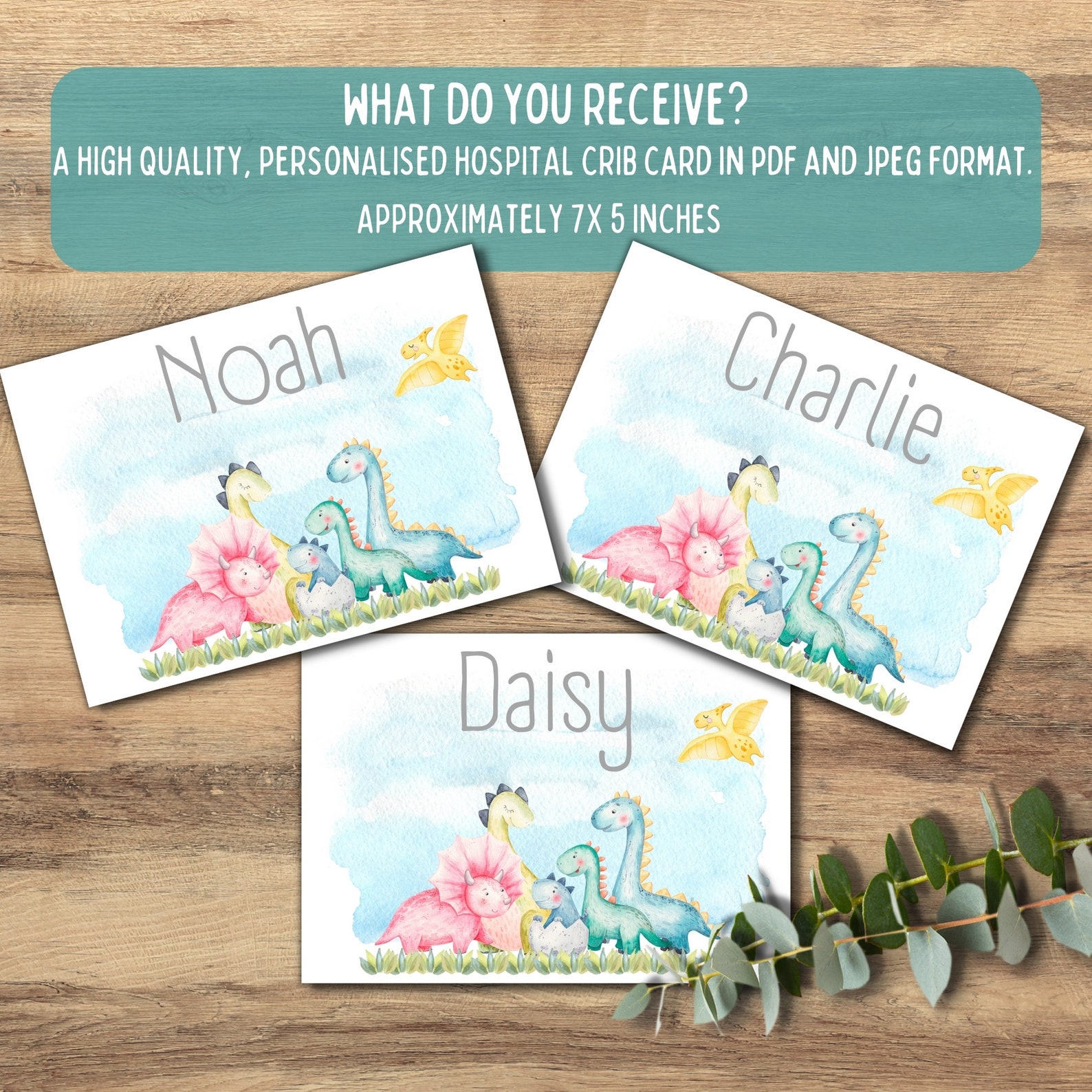 Baby Name Card for NICU Incubator, Preemie Isolette, Hospital Crib Cot ...