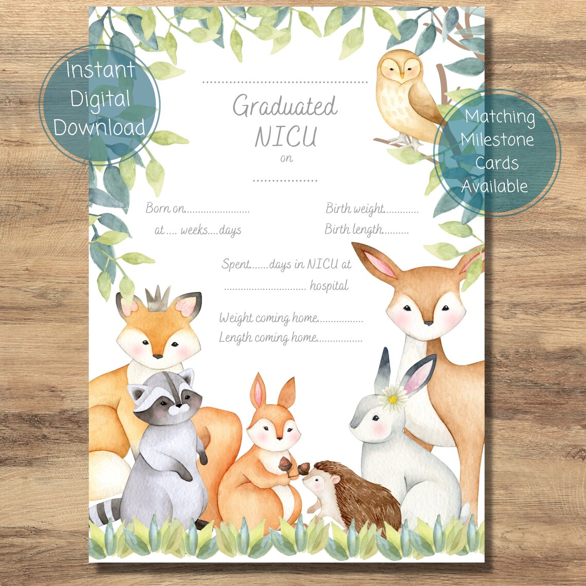 Woodland Animal NICU Graduate Certificate, NICU Grad, Preemie Baby NICU ...