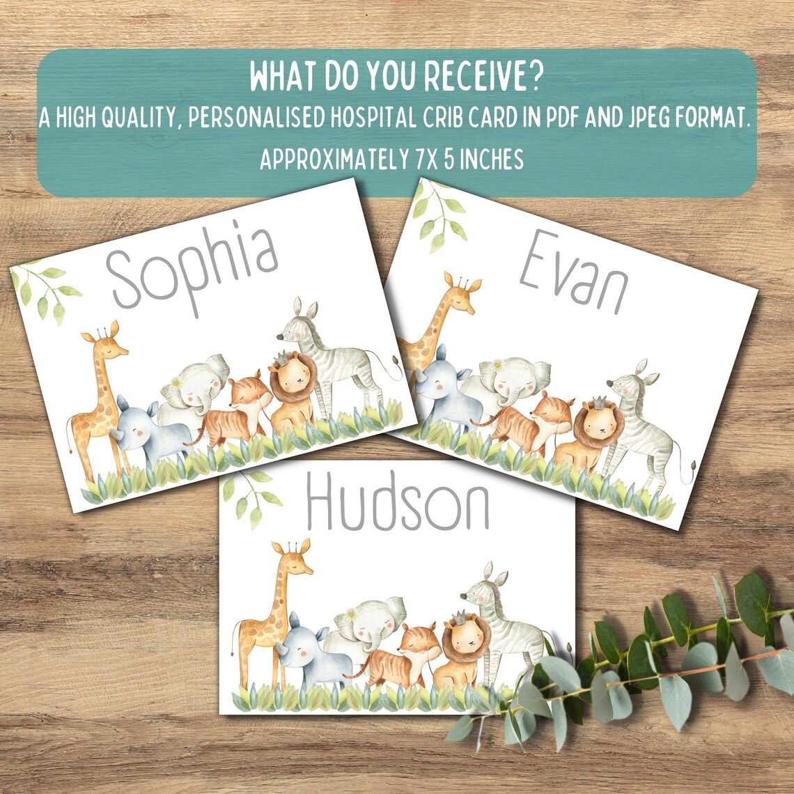 Safari Animal Personalised NICU Hospital Incubator Baby Name Card, Baby ...