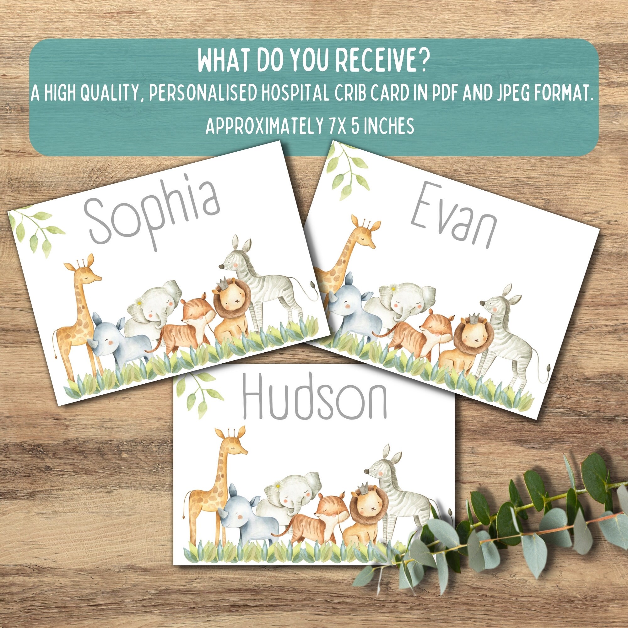 Safari Animal Personalised NICU Hospital Incubator Baby Name Card, Baby ...