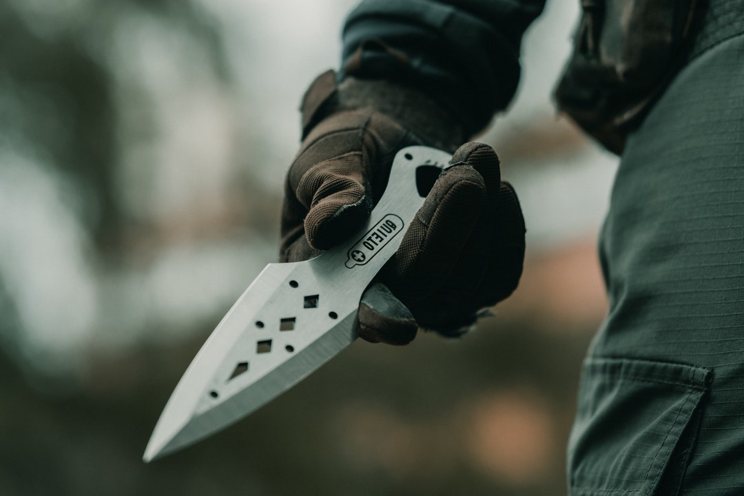 REAL LIFE légendes apex wraith heriloom superposition wraith - Etsy France