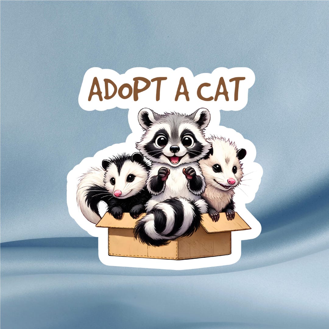 Adopt A Cat Sticker: Funny Racoon & Possum Gloss Vinyl Decal - Etsy