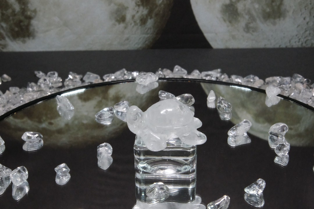 Clear Quartz Sea Turtle Crystal Carving - Etsy