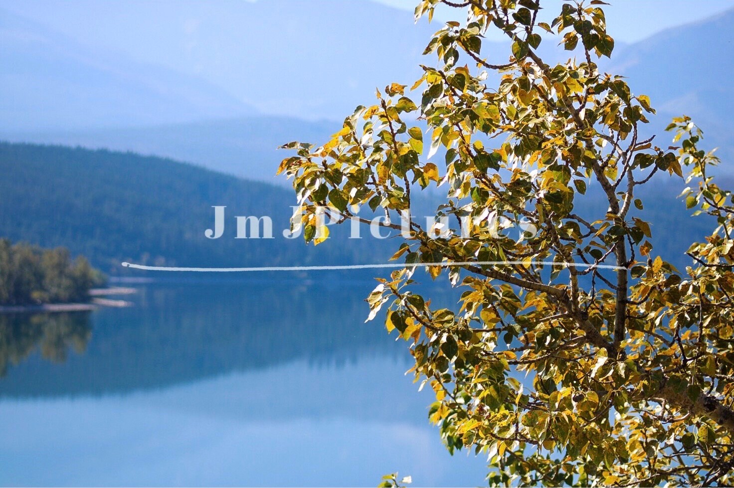 Water and Tree Photo Print | Digital Download, Print | 6x4, 5x7, 8x10 ...