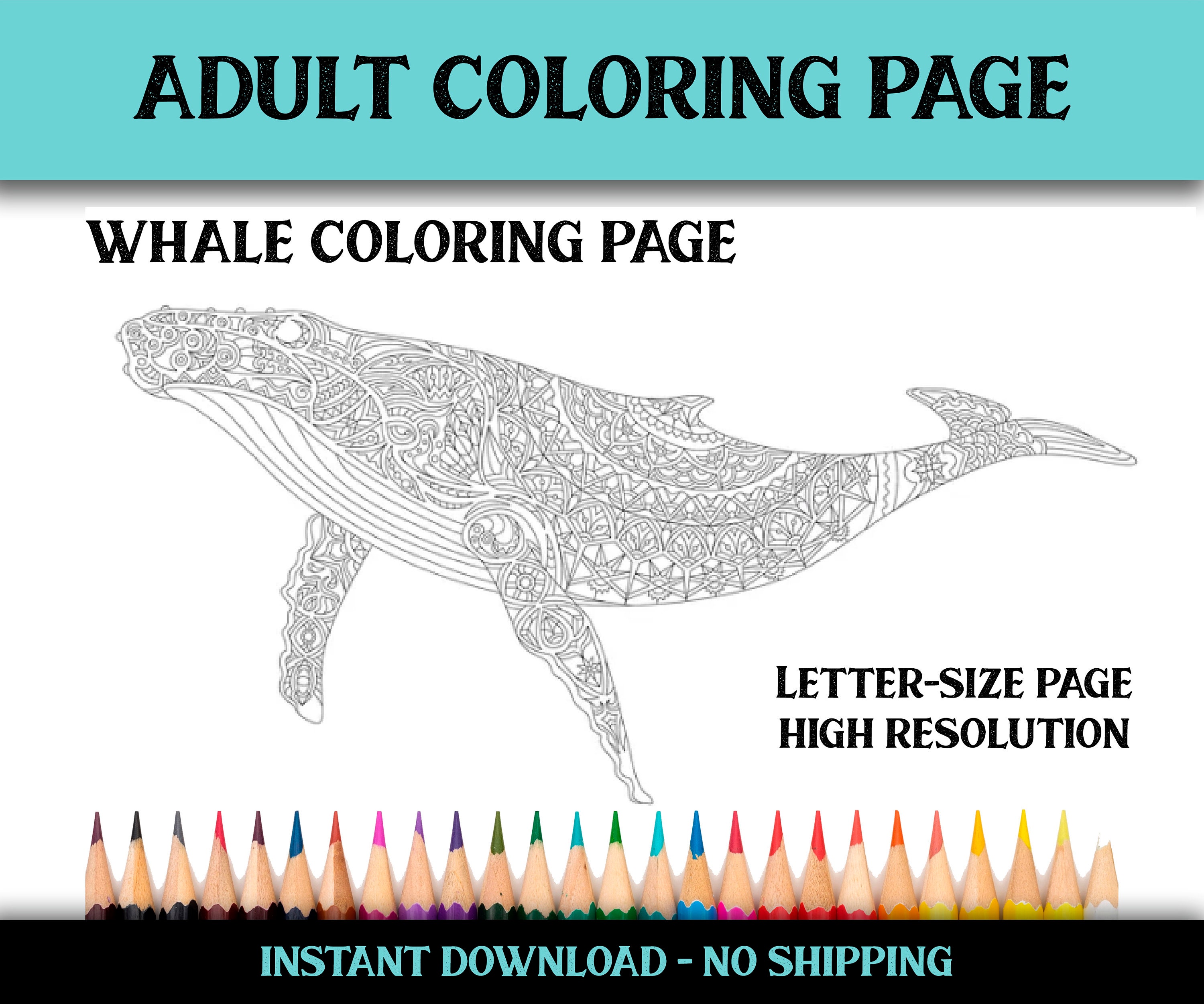 Blue Whale Coloring Sheet
