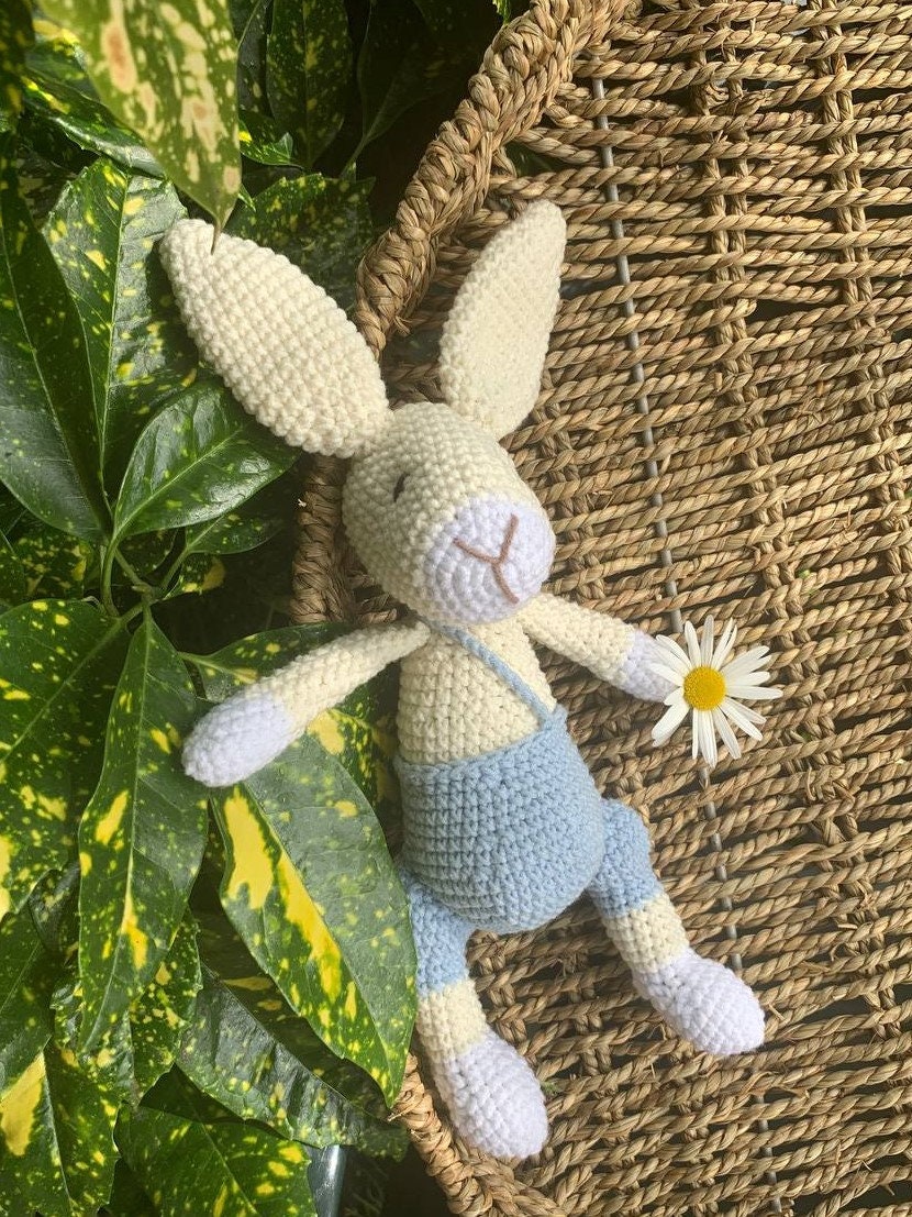 Rabbit Steve - Etsy
