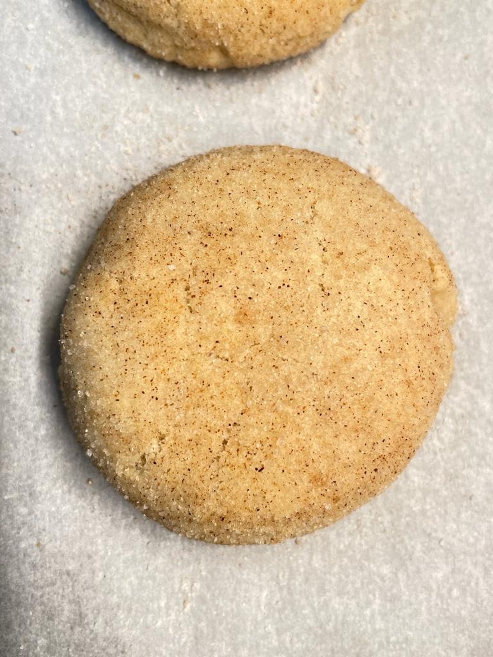 Classic Homemade Snickerdoodles - ONE Dozen - Etsy