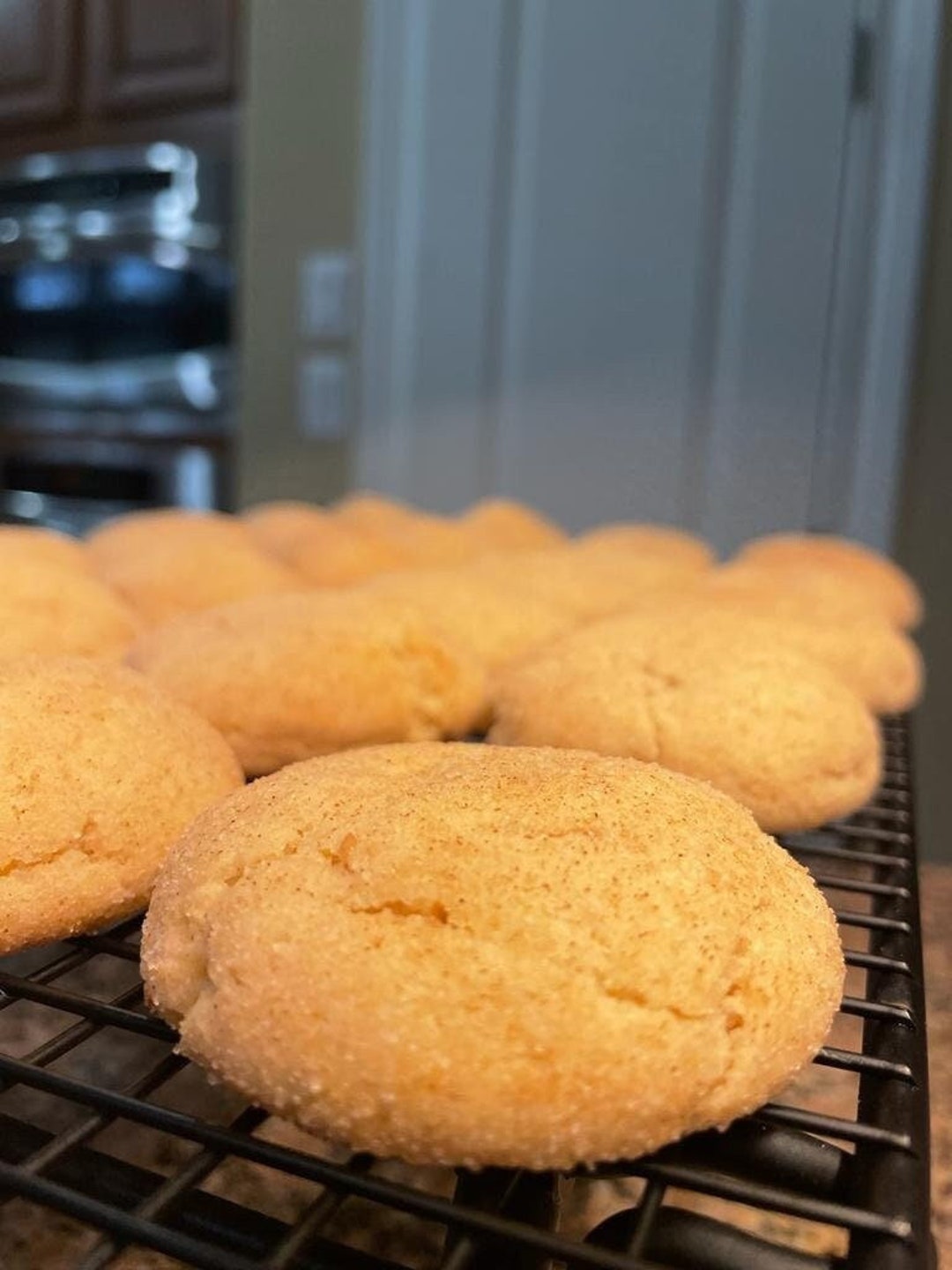 Classic Homemade Snickerdoodles ONE Dozen - Etsy