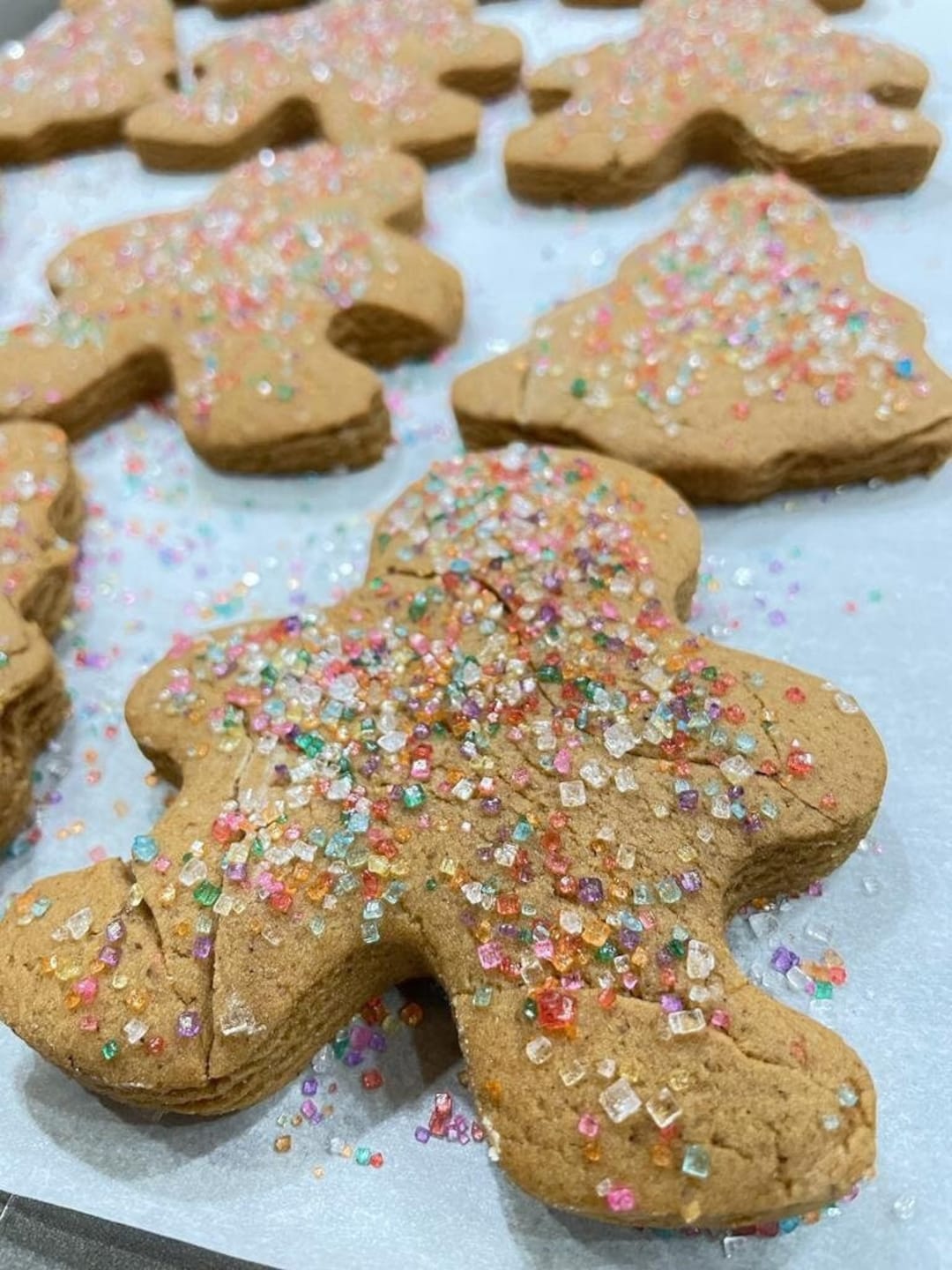 Homemade Gingerbread Cookies - ONE Dozen - Etsy