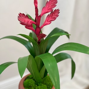 Gorgeous Red Faux Bromeliad Plant, Lifelike Greenery in Ribbed ...