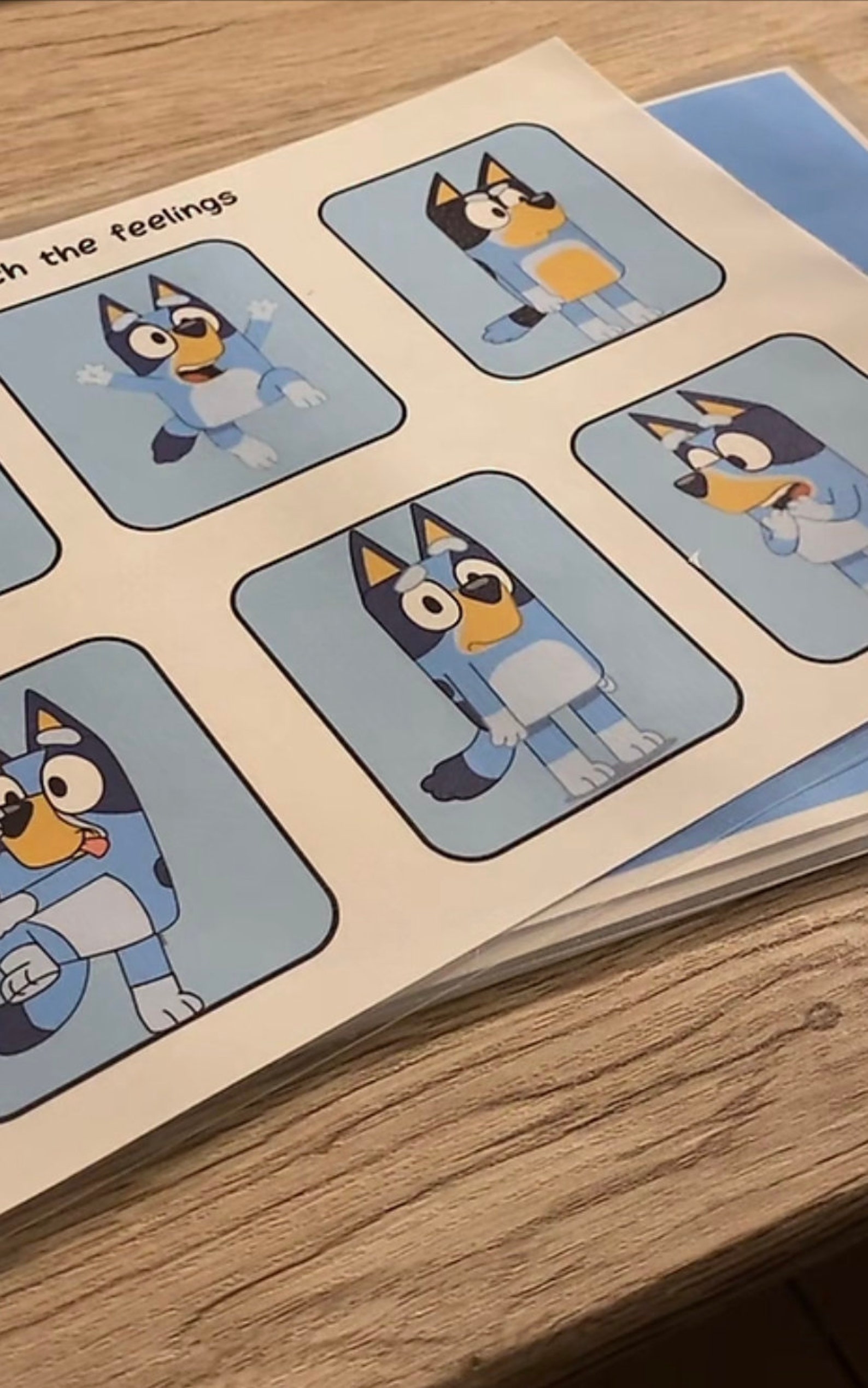 Bluey Busy Book, Printable Toddler - Etsy Canada