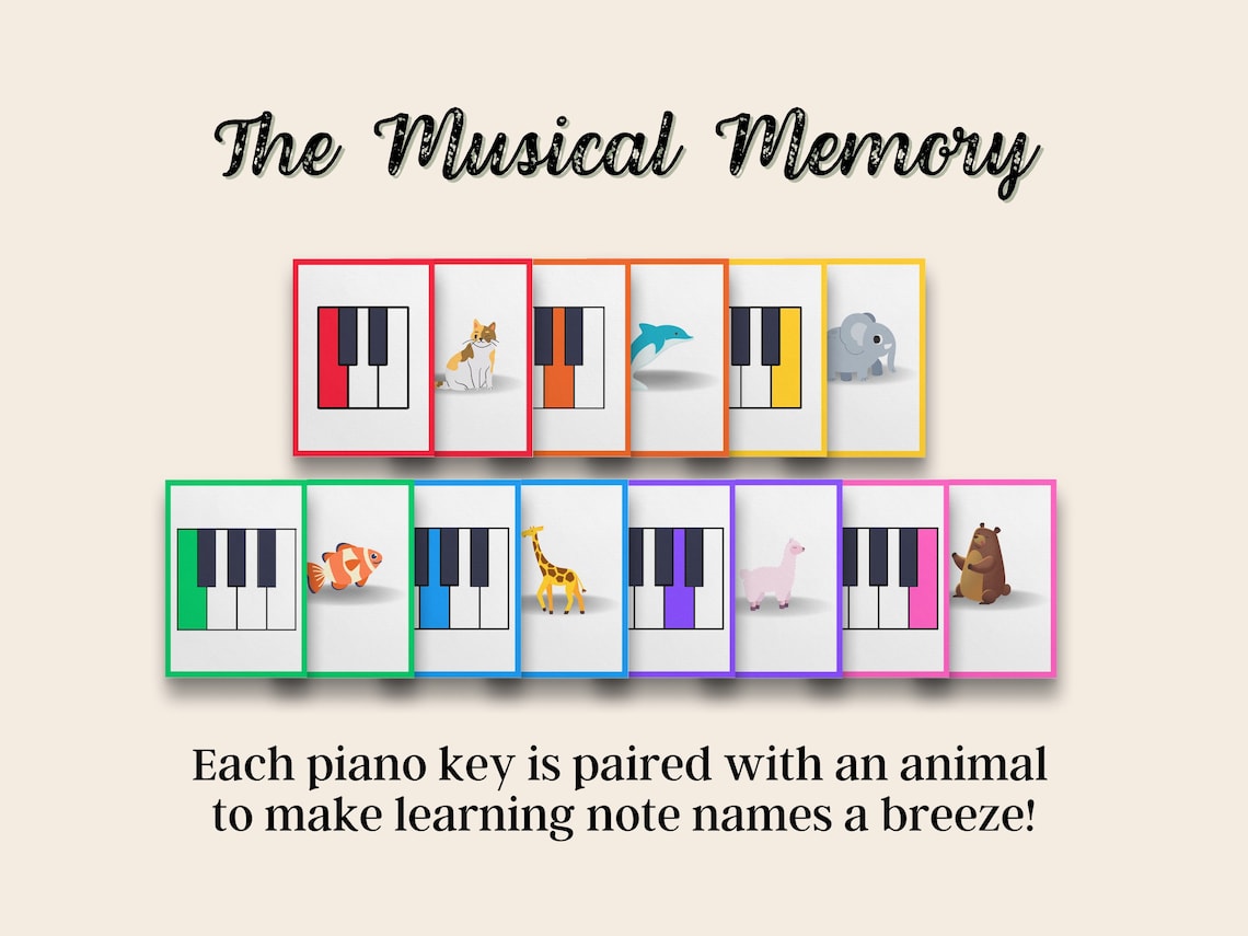 Musical Animal Alphabet Flash Cards Color Coded Piano Playing Cards for ...