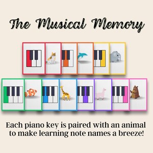 Musical Animal Alphabet Flash Cards - Color Coded Piano Playing Cards ...