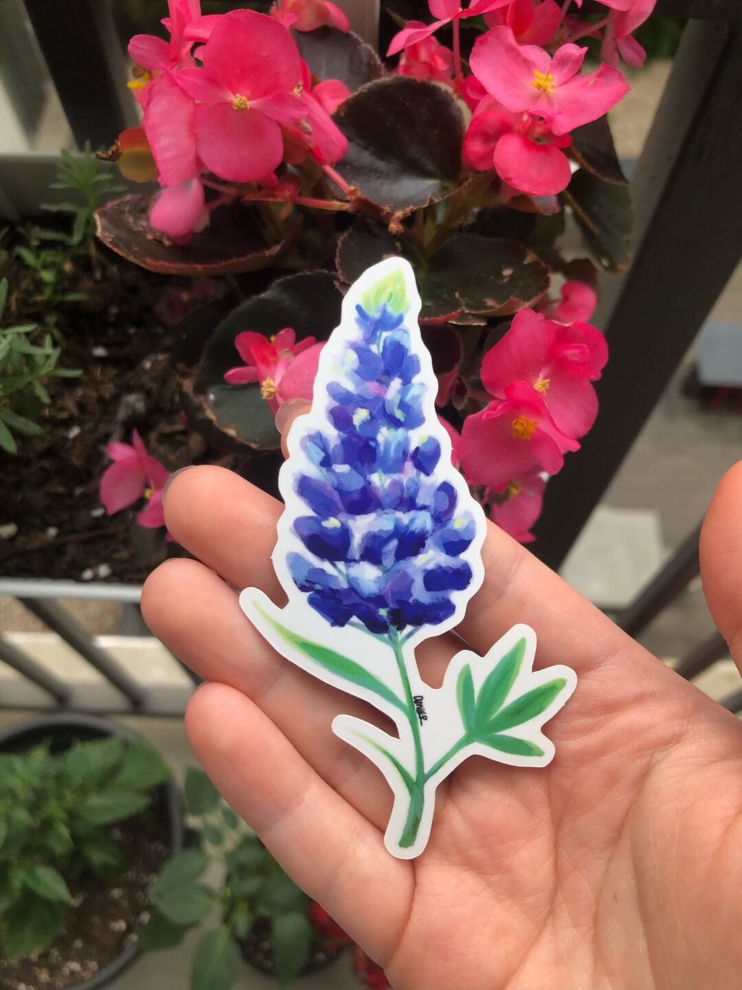 Texas Bluebonnet 4 Inch Vinyl Sticker - Etsy
