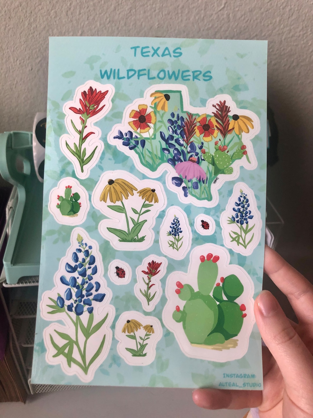 Texas Wildflowers Sticker Sheet - Etsy
