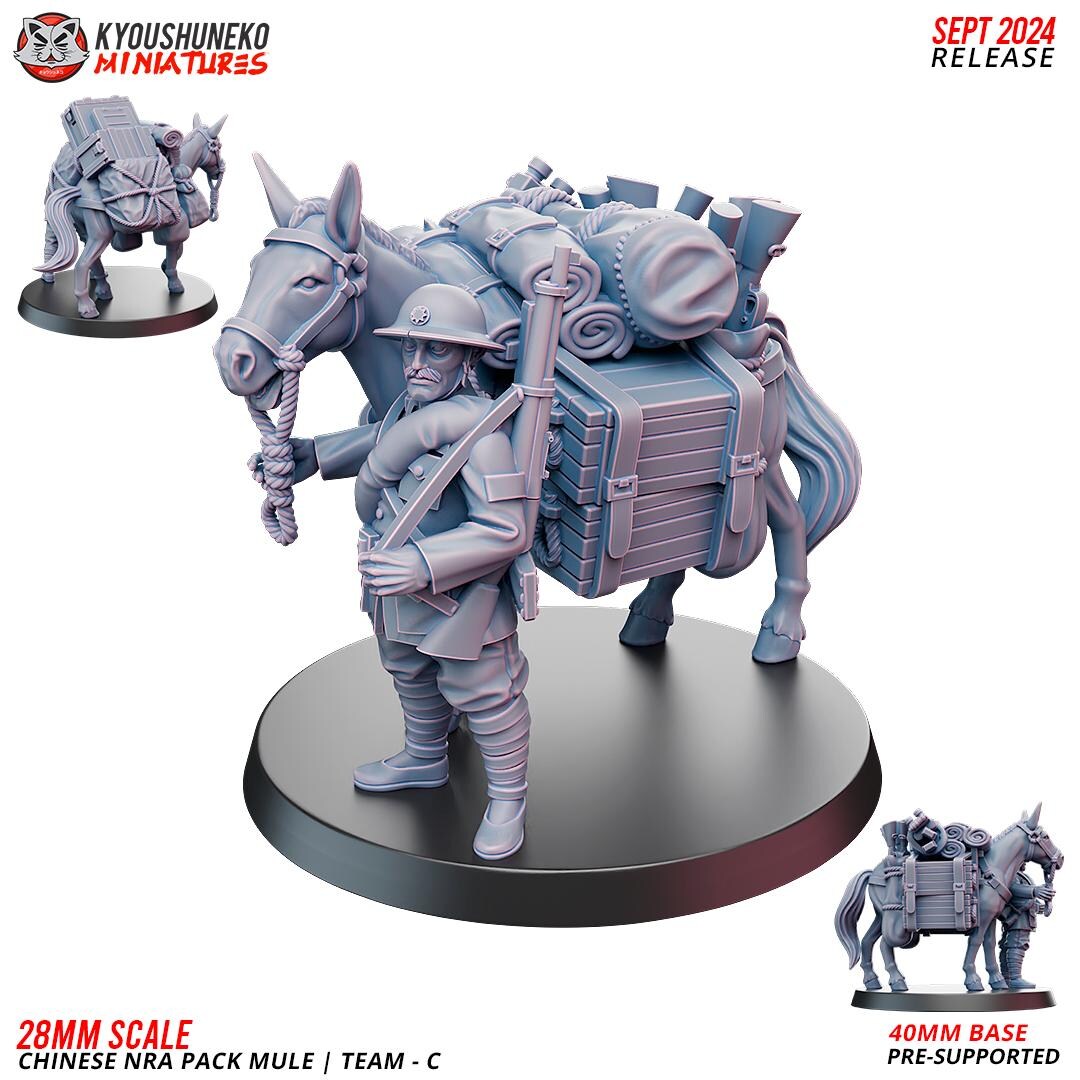 Chinese NRA Pack Mule Team C | China Burma India Theater | Kyoushuneko ...