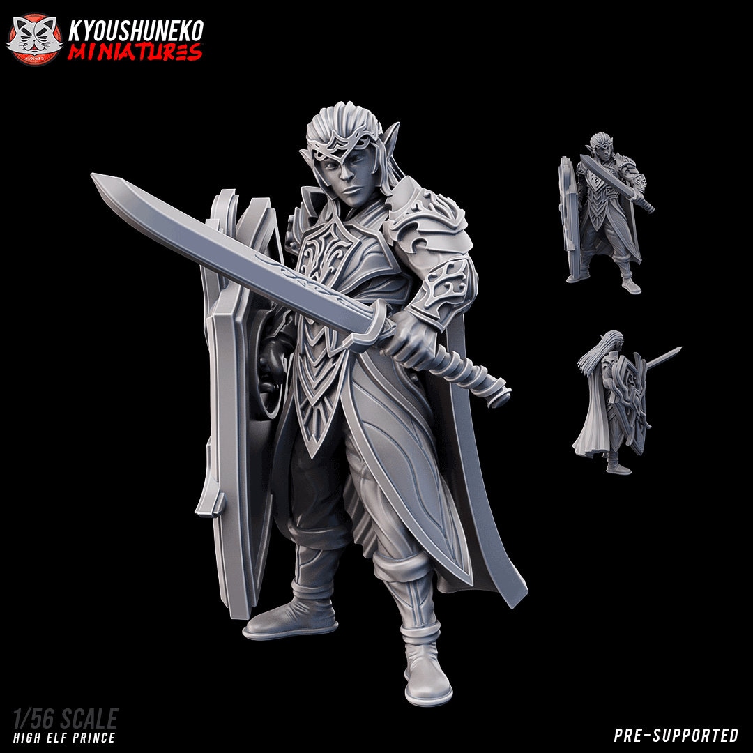 High Elf Prince Resin 3D Printed Miniatures Kyoushuneko Table Top ...