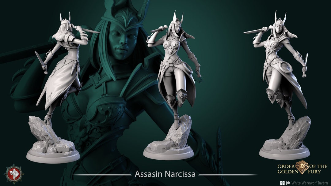 Assasin Narcissa Order Of The Golden Fury Multiple Scales Resin 3d Printed Miniature White