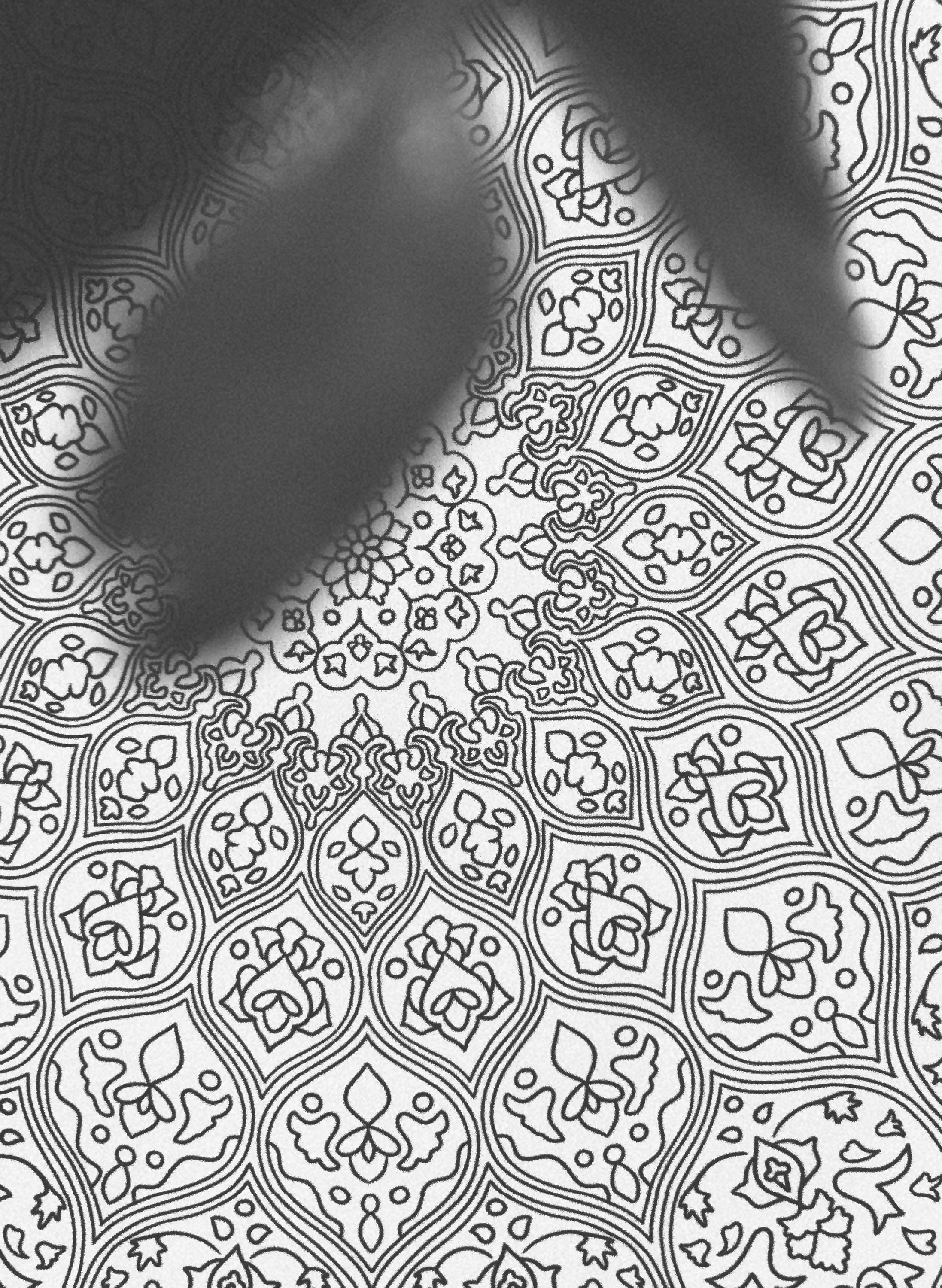 Persian Art Inspired Colouring Page Intricate Patterns - Etsy