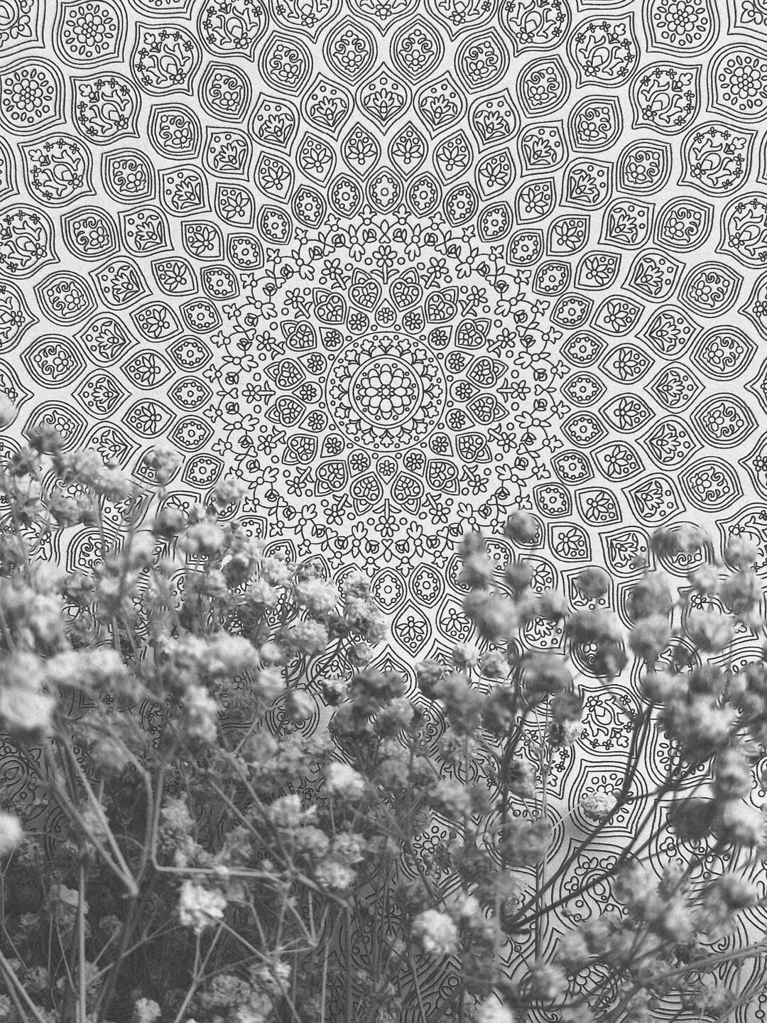 Artistic Persian Calligraphy Coloring Page - Intricate Patterns ...