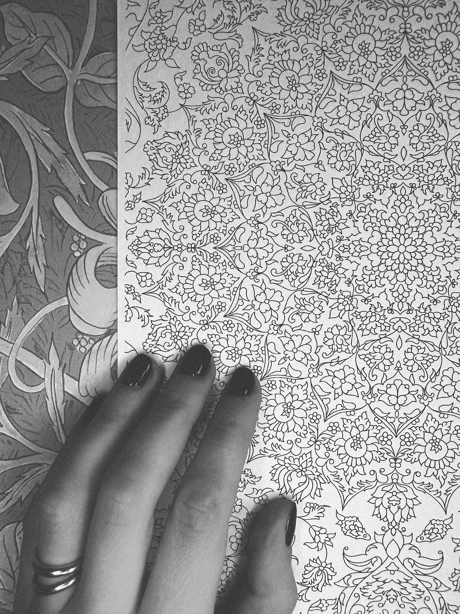 Persian Art Inspired Colouring Page - Intricate Patterns, Arabesques ...