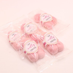 Hen Party Favours Marshmallow Same Willy Forever Hen Party Favours ...