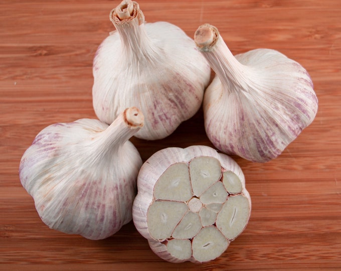 Music Hardneck Garlic for Cooking and Planting!! Naturally Grown! Price ...