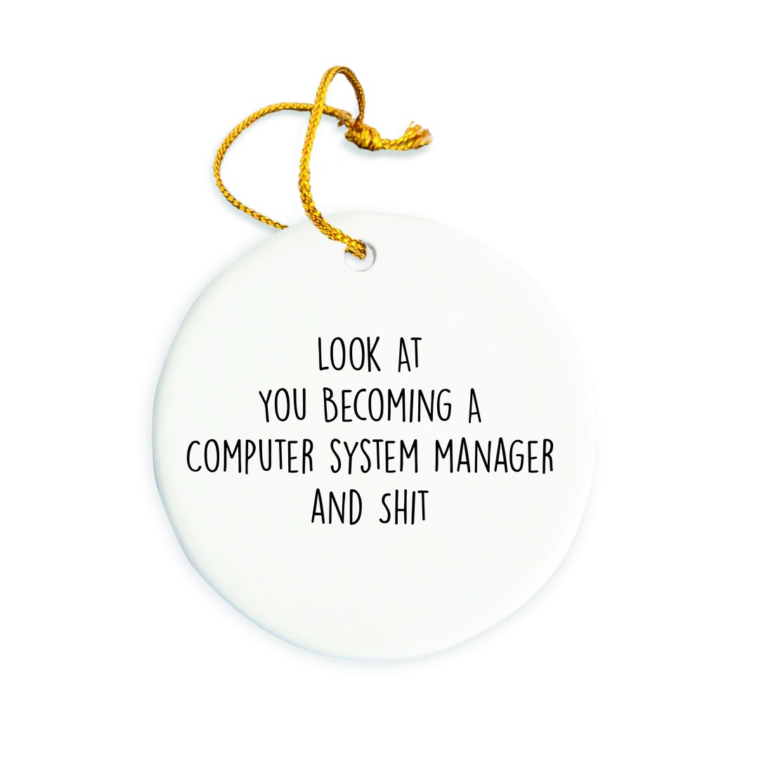 Computer System Manager Ornament, Manager Christmas Ornament, Manager ...