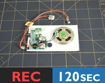 Sound Activated - Etsy