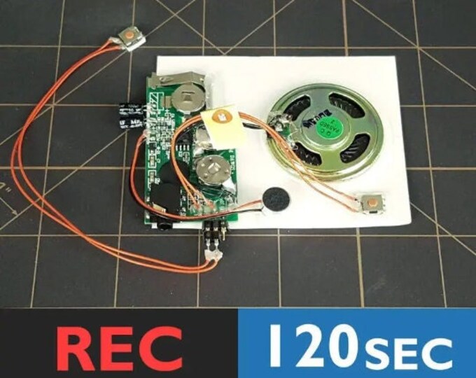 Push Button Sound Module With Line-in Port | Re-recordable Sound Module ...