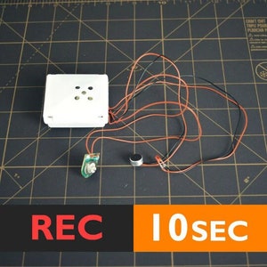 Pull String Voice Box - Etsy