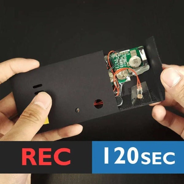 Sound Activated - Etsy