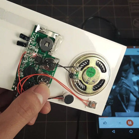 Do It Yourself Talking Card Recordable Sound Module for Greeting Cards ...