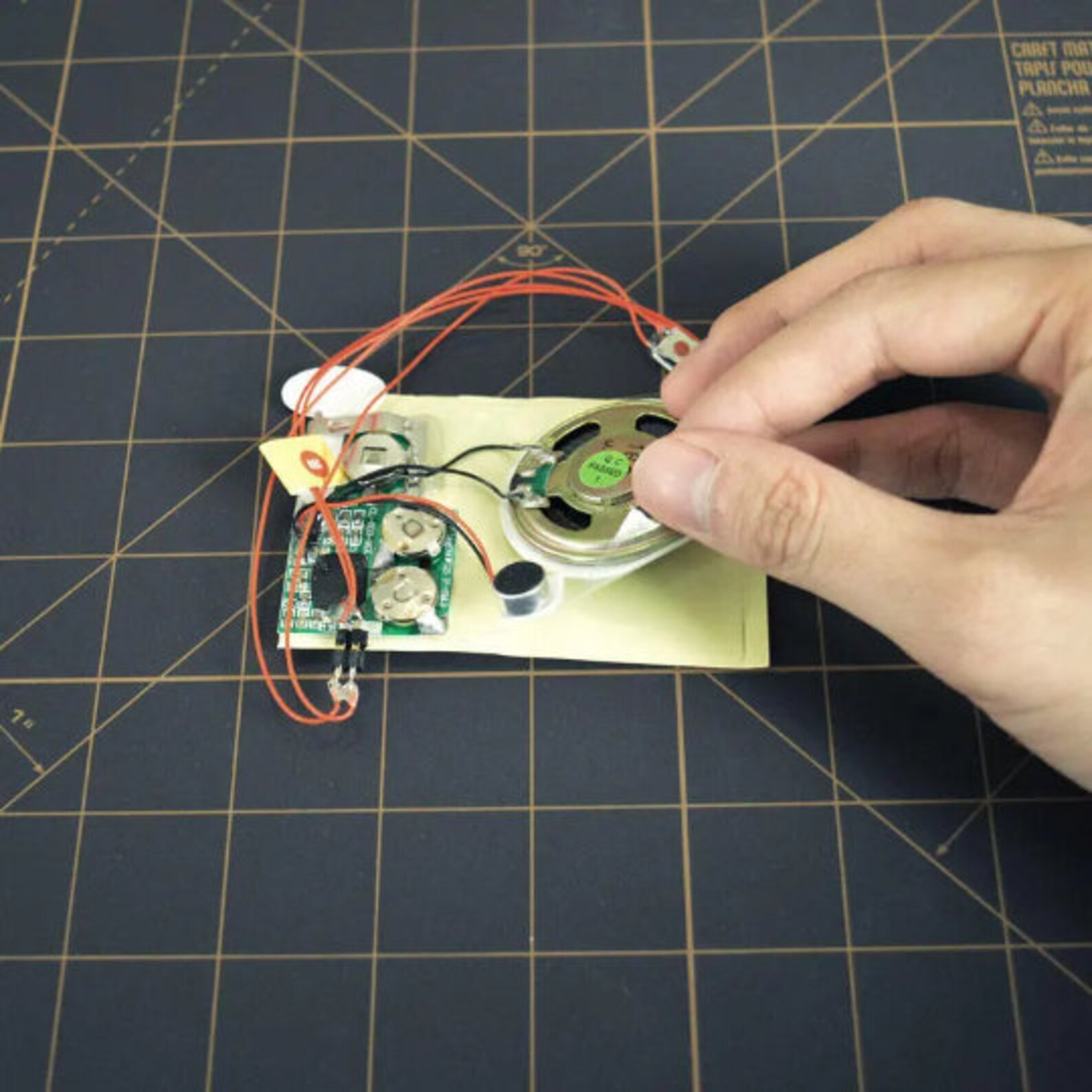 Push Button Sound Module | Recordable Push Button Sound Module, Voice ...