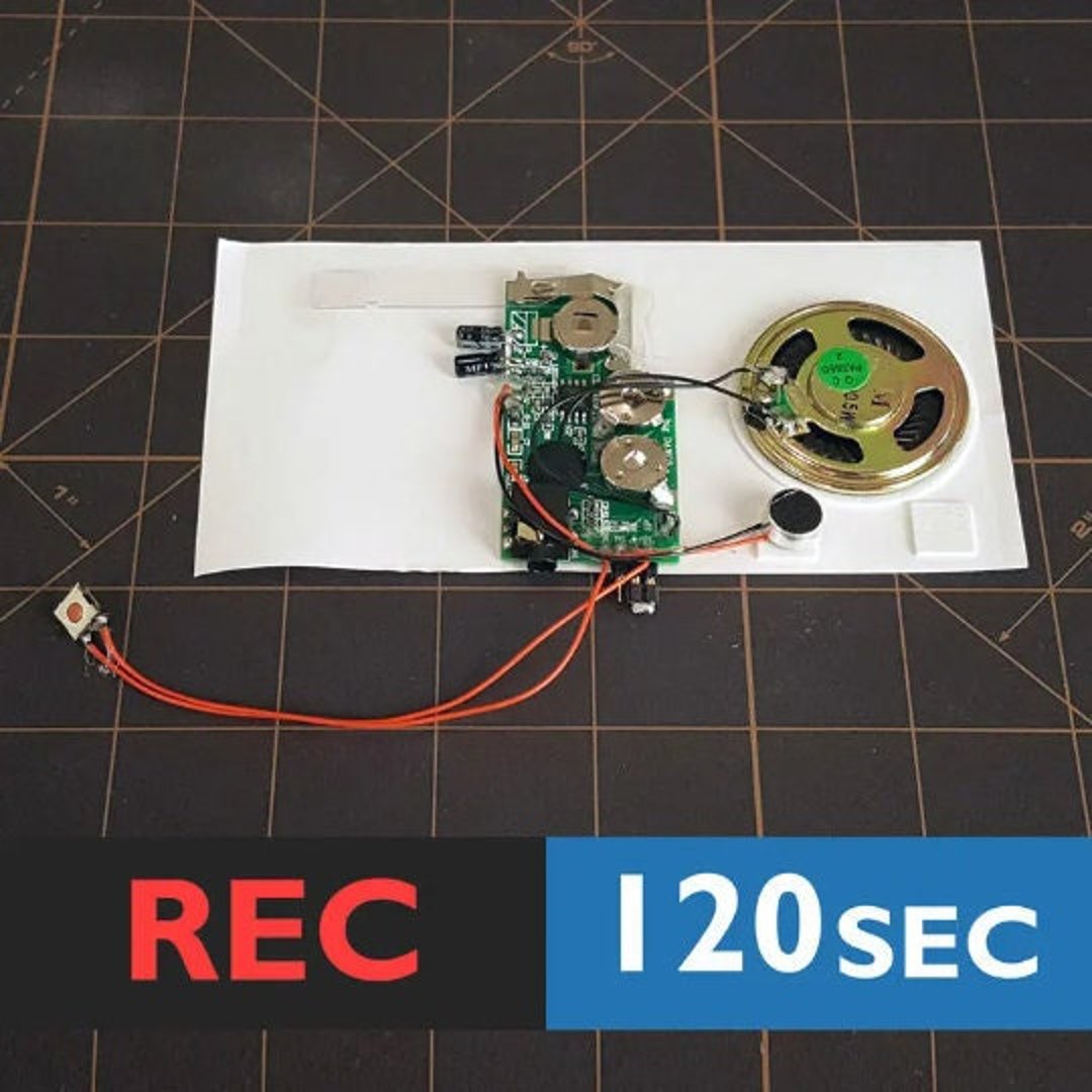 Do It Yourself Talking Card | Recordable Sound Module for Greeting ...