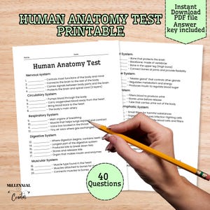 Human Anatomy Test Printable, Educational Worksheet, Instant Download ...