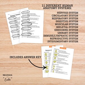 Human Anatomy Test Printable, Educational Worksheet, Instant Download ...