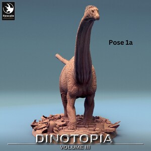 Diplodocus Rescale Miniatures Tabletop Miniature Hand-painted by the ...