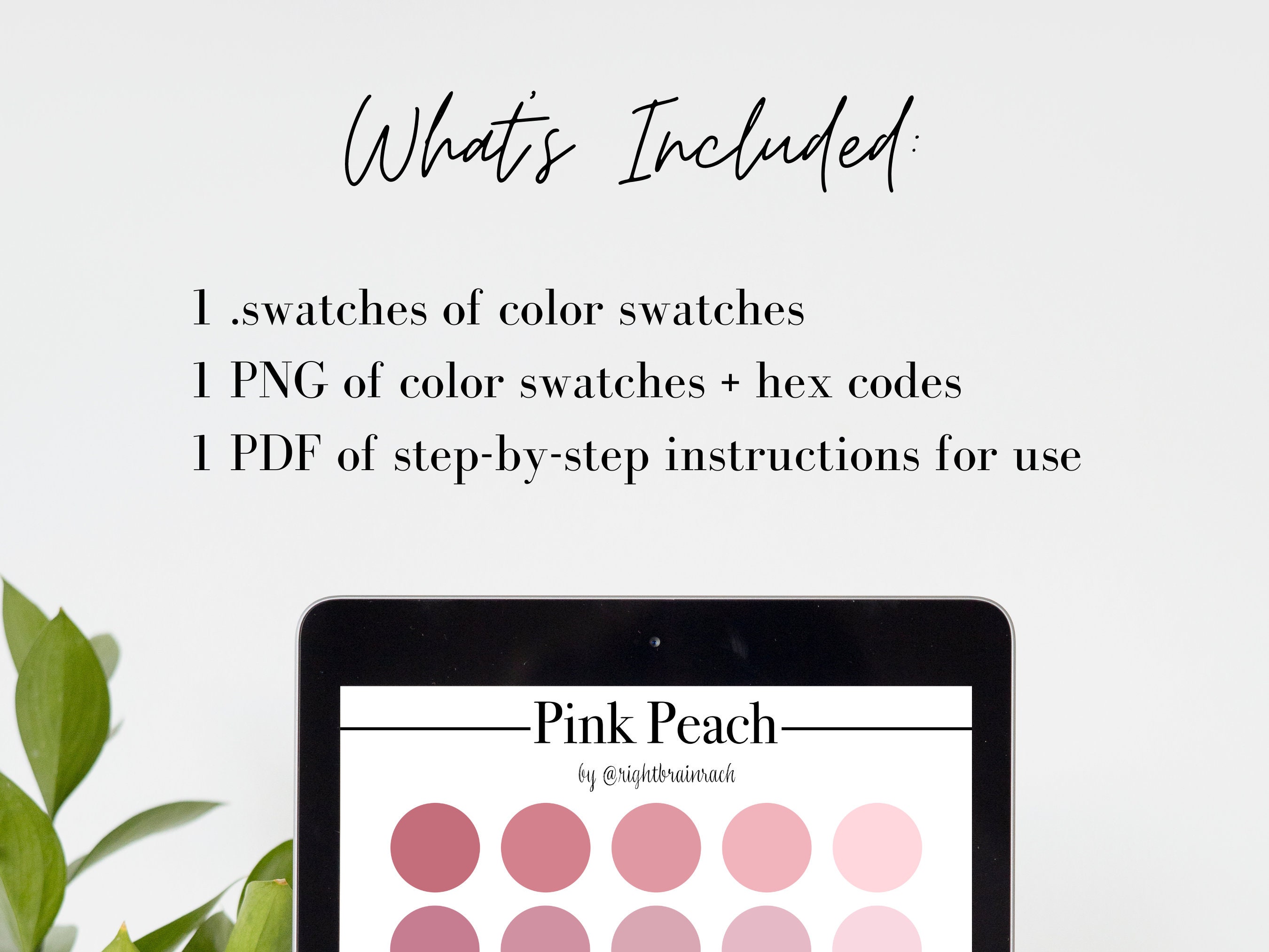 Pink Peach Procreate Color Palette 30 Color Swatches Warm Cozy Orange